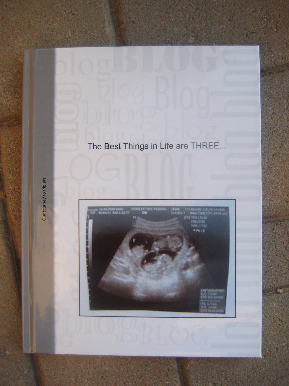 The Best Things in Life are THREE...: My Blog Book, Volume 1