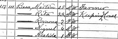 The Baca / Douglas Genealogy and Family History Blog: Census Records of ...