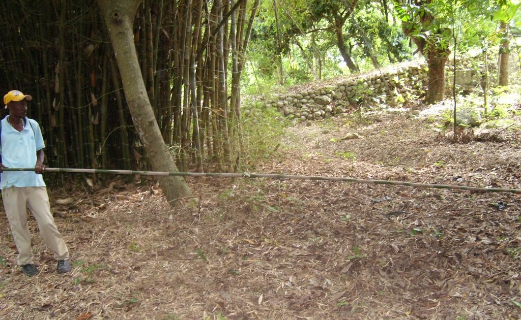 HAITI - CORAM DEO: photos - camp perrin - part 6