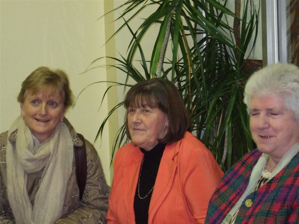 LIMERICK ICA FEDERATION NEWS: Notes W/E November 21 2009