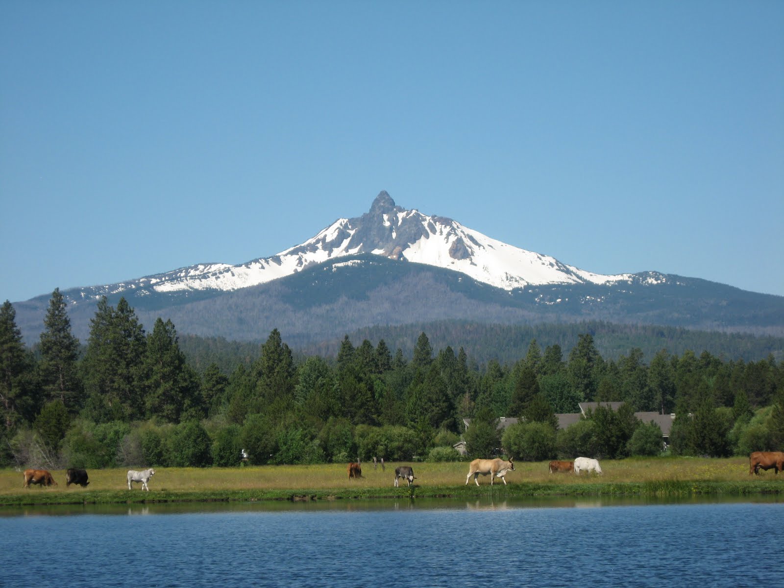 Mrs Peeks Farmhouse: Black Butte Ranch Resort, Oregon