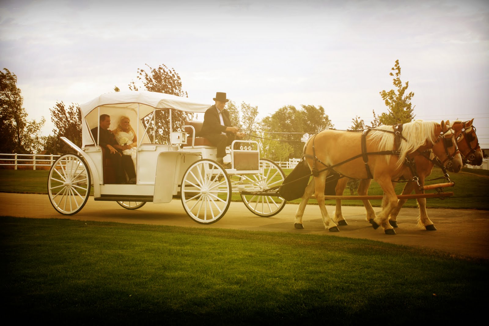 The Adventures of Jenn, Carter & Kendall: A Castle and a Horse-Drawn ...