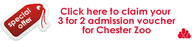 Visit Chester Zoo for Less – ReallyKidFriendly