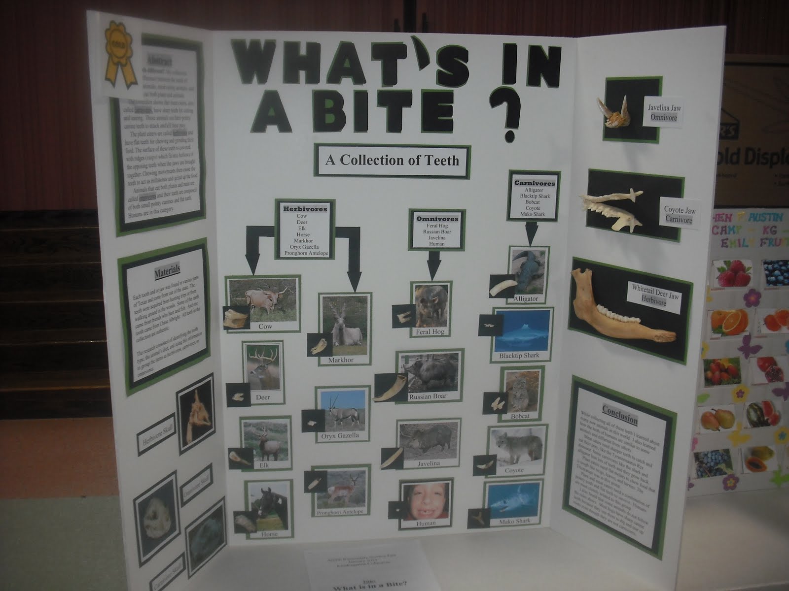 The Three Albright Boys