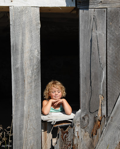 A little bit of Jay: Barn Portraits of the Kids