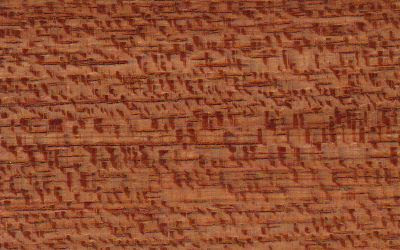 Le boiseu du NIVOLET: LES ESSENCES BOIS (suite)