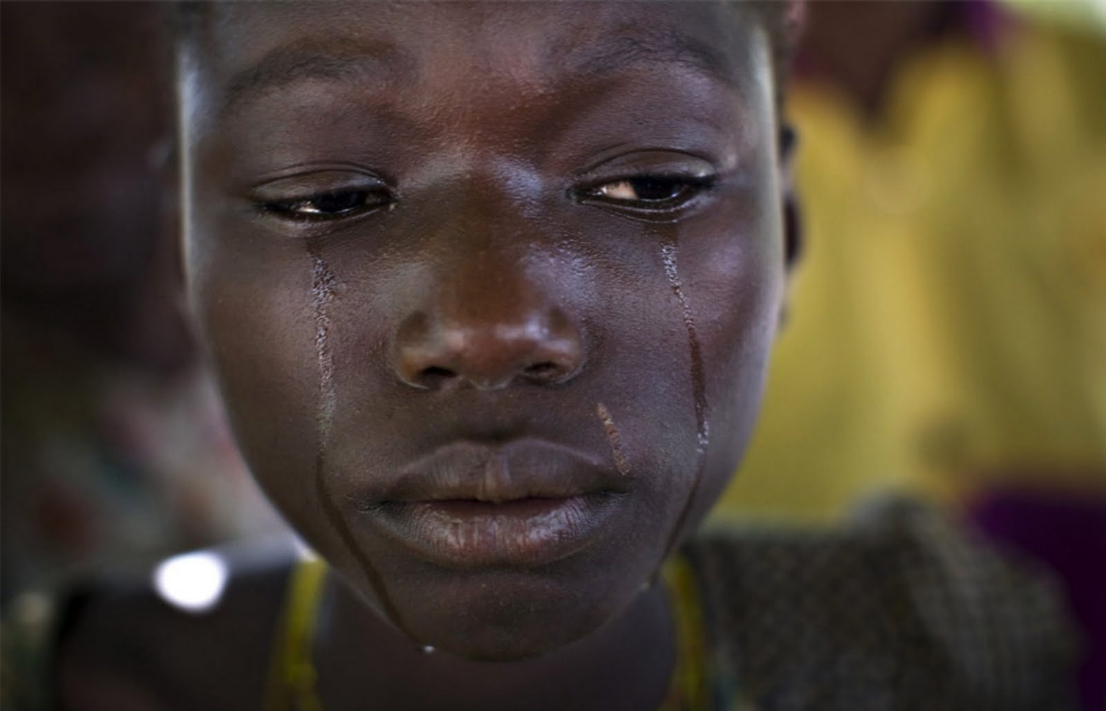 Photo Gallery: Zuzeeko's Photo of the Day 01/12/2009 ~ Personal Blog of ...