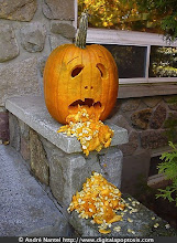 Anger Is the Best Sauce: Meat wrapped in dough!