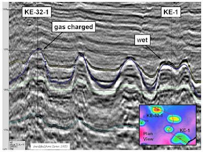 Earth Stories: Direct Hydrocarbon Indicators (DHI)