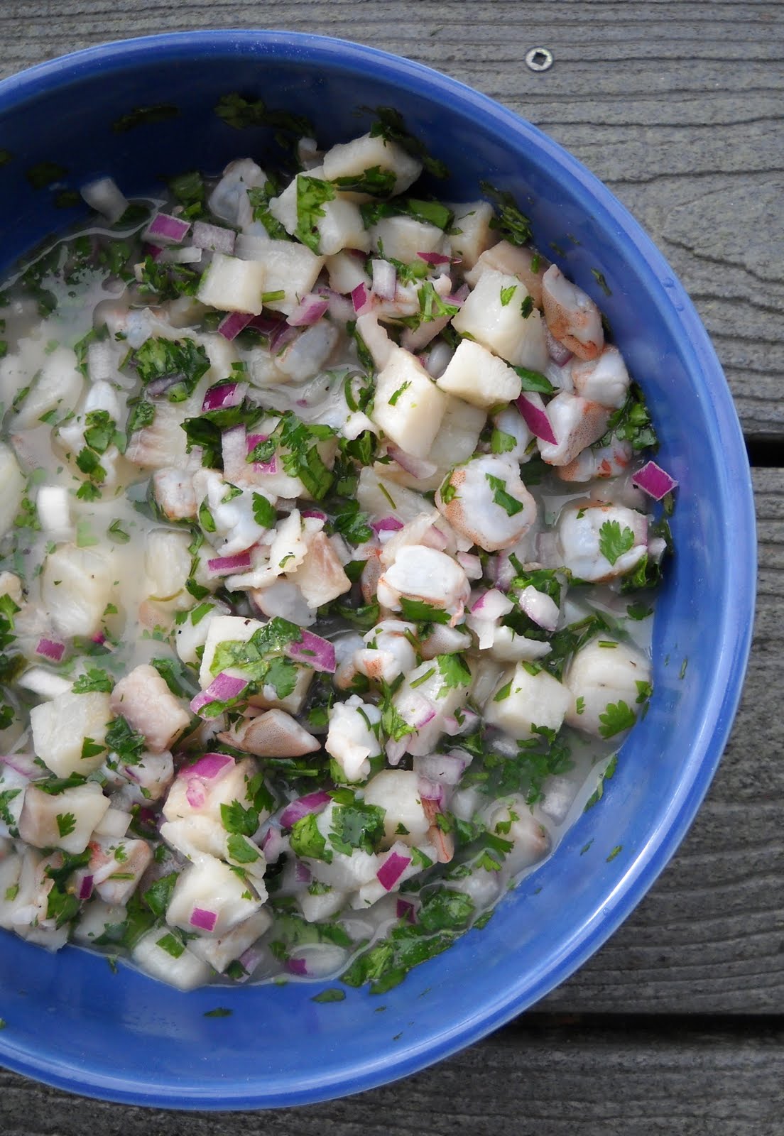 Cinco de Mayo and Clementine Ceviche | ramblingtart