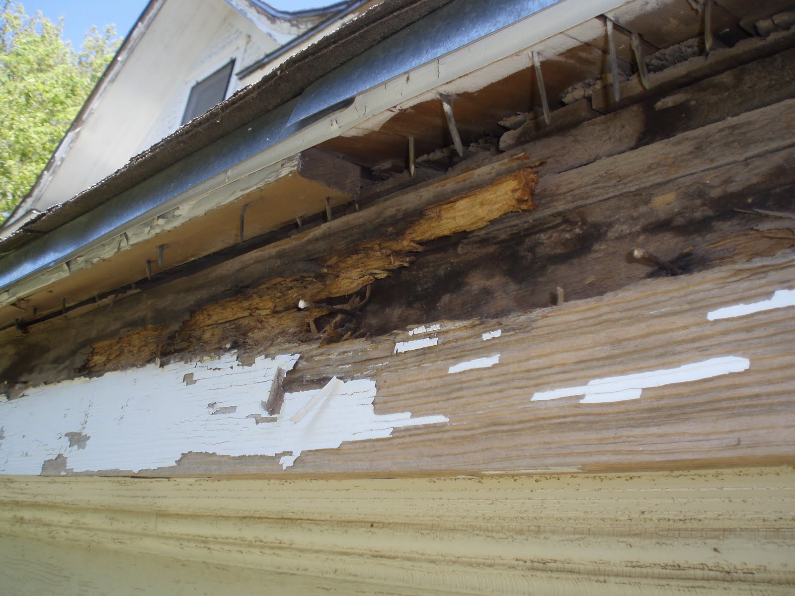 Simpson's Folly: Of Rot & Scaffolding