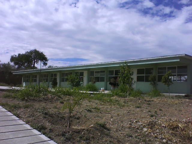 Blog del Centro de Bachillerato Tecnologico Agropecuario No. 286 ...