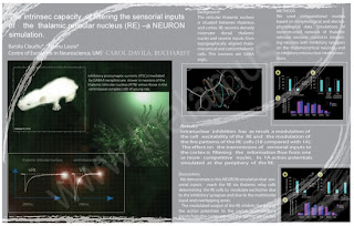 Neuroscience Blog: Neuroscience Poster Design