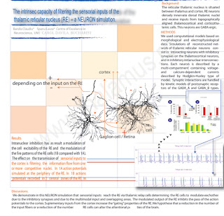 Neuroscience Blog: Neuroscience Poster Design
