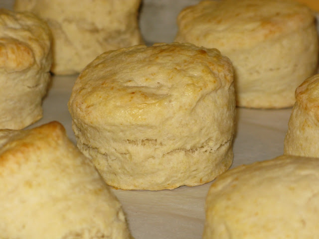 I Like To See My Recipes When I Grocery Shop: Flying Biscuits