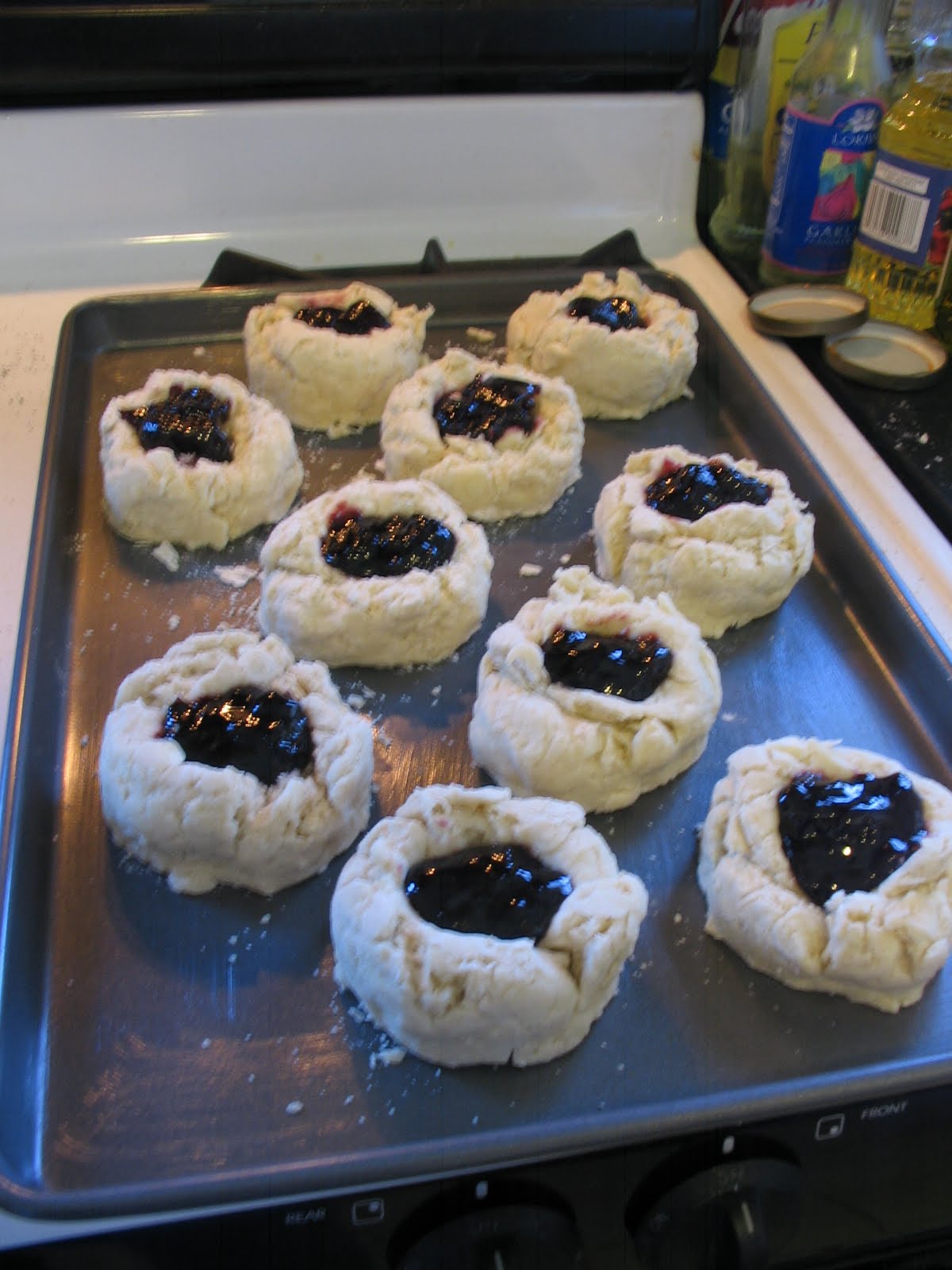 Talus Slopes: March 2010