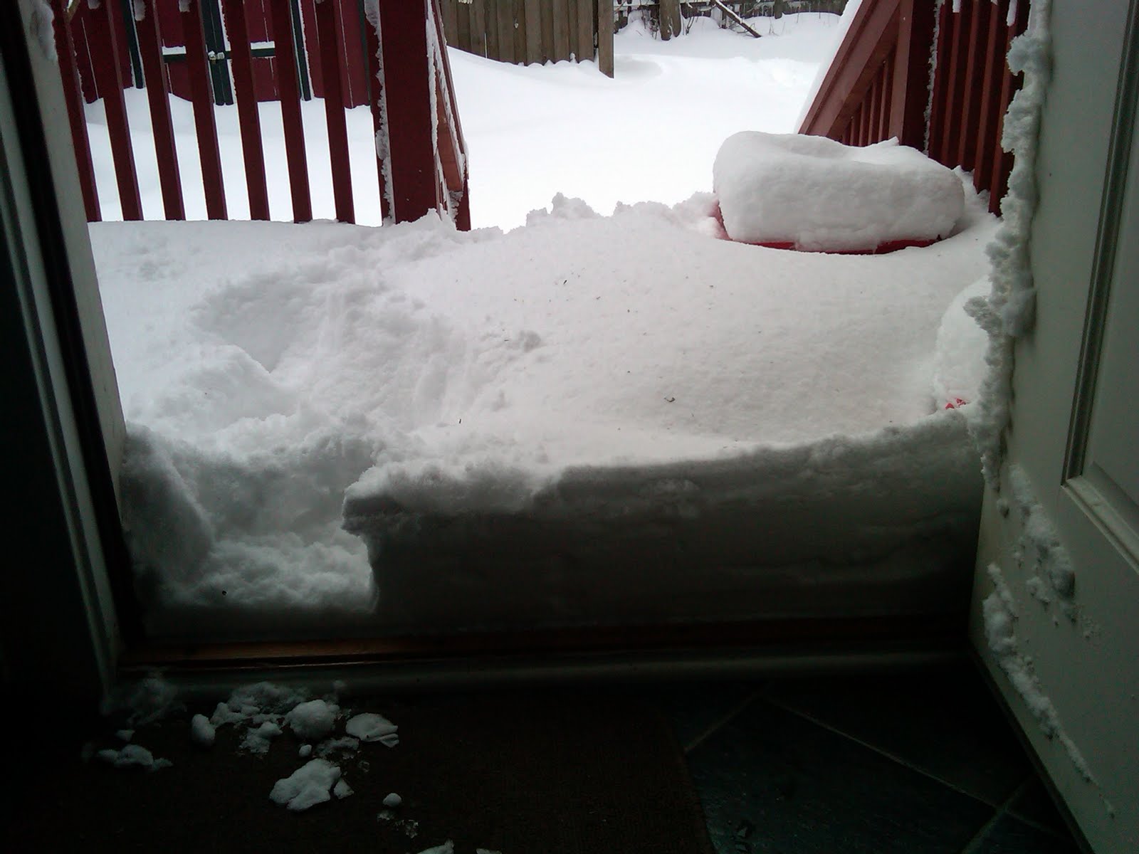 The Great Chicago Thunder Snow Storm of 2011: Pictures News and Links ...