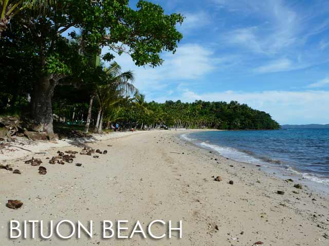 Masbate: Buntod Reef Marine Sanctuary, Pawa Mangrove Ecosystem & Bituon ...