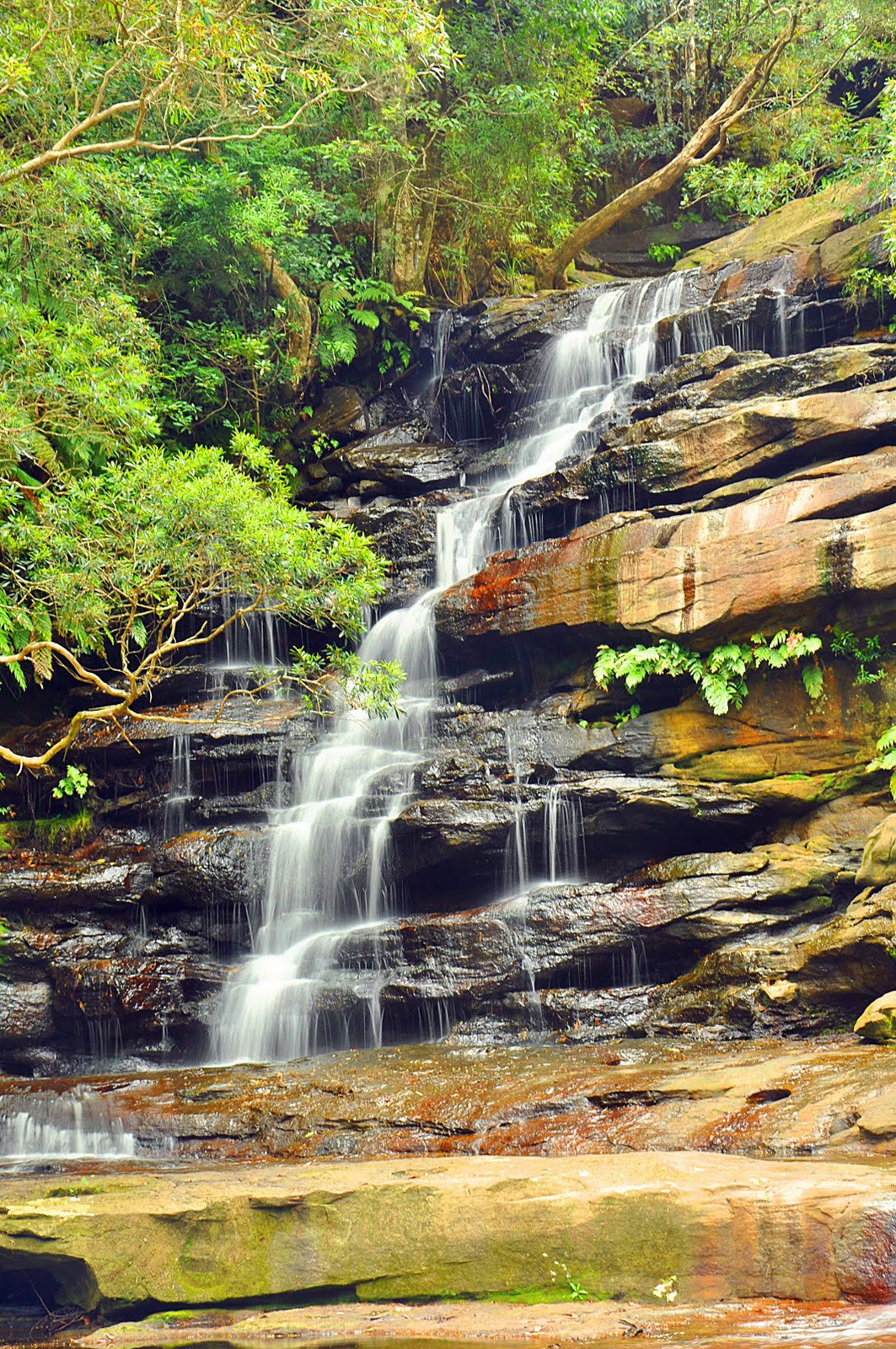 Free Photo Guides Australia - NSW: Somersby Falls