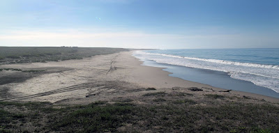 The life of a pioneering photographer.: Existentialism on the beach