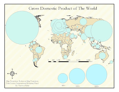 Cartography/Remote Sensing: Non-Contiguous Cartogram Map