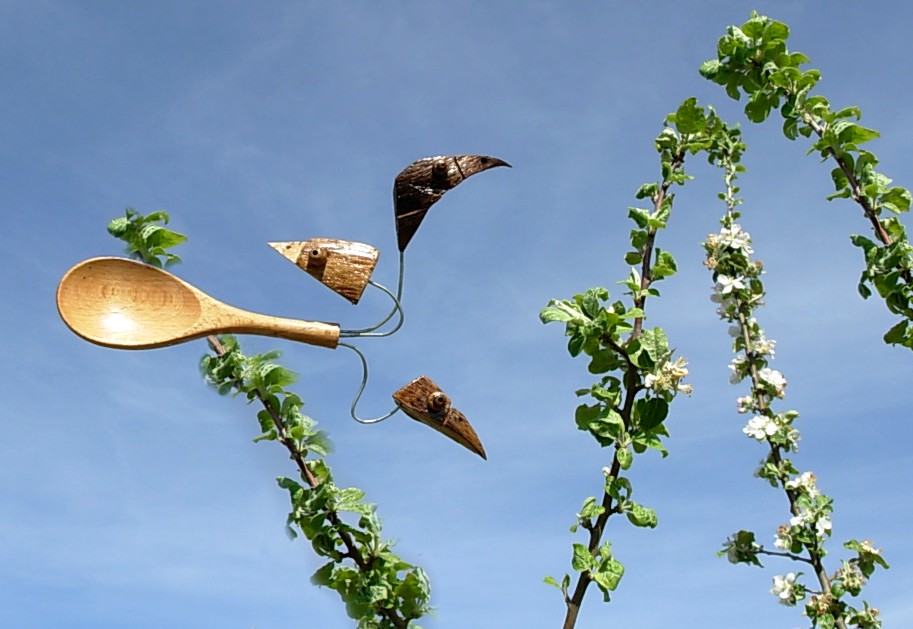 Madeira viva: Pássaro-tricéfalo-rabo-de-colher (2009) Spoon tailed ...