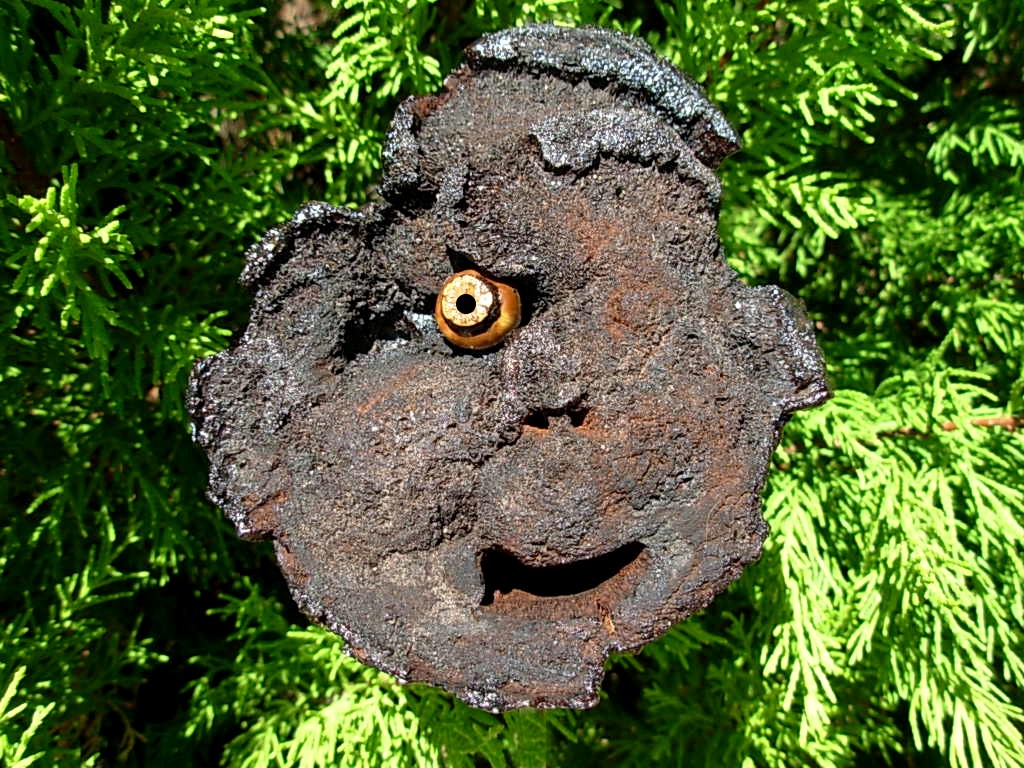 Madeira viva: Ciclope 7 - Bebé / Ciclope 8 - Porco (2009) Cyclops 7 ...