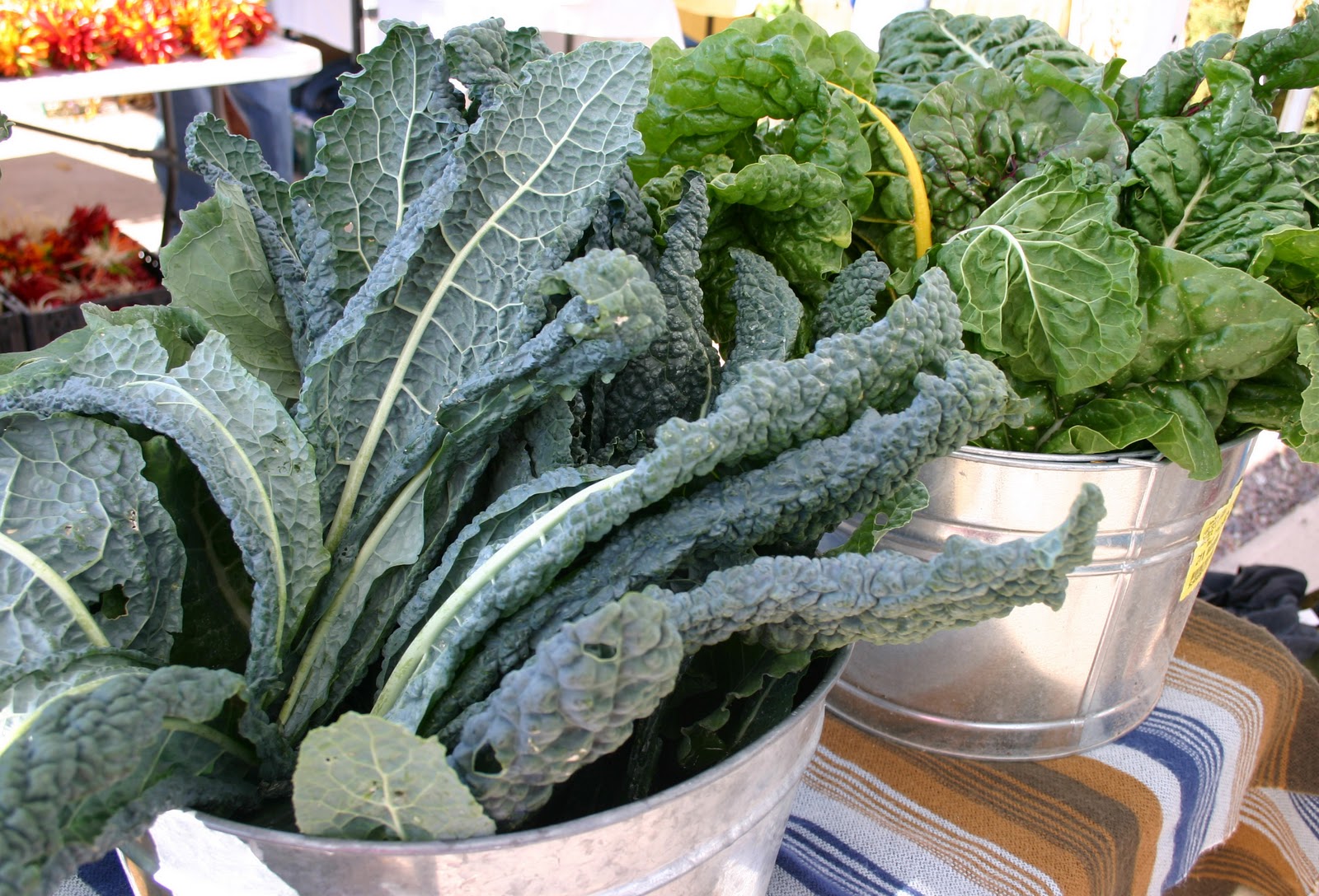 Chasing Santa Fe: SANTA FE FARMERS MARKET