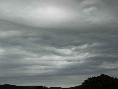 El temps a Palamós: Undulus asperatus