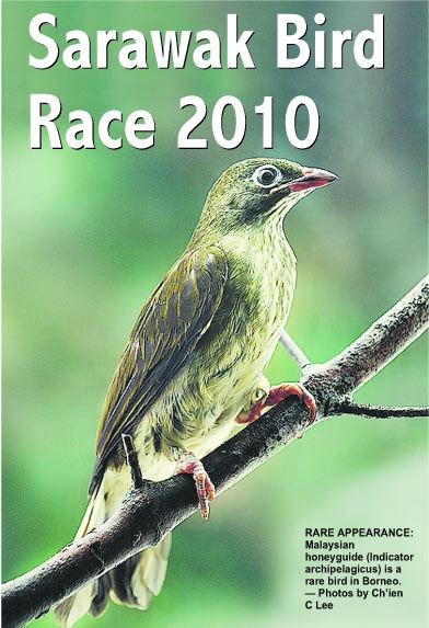 Malaysian Nature Society Kuching Branch: Sarawak Bird Race 2010