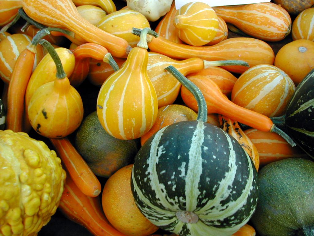 Les recettes de Grand-Maman: octobre 2010