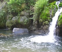 wil_pac: TUMAUINI ISABELA TOURIST ATTRACTIONS