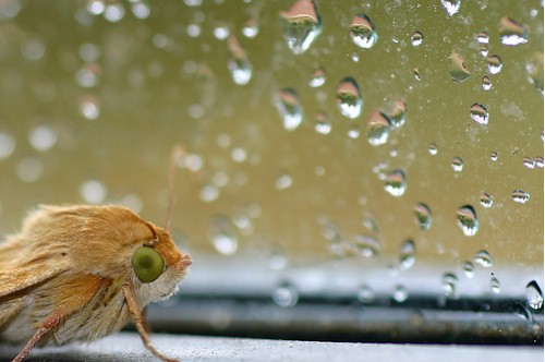 Beautiful photography: Amazing Rain Photography Part 2