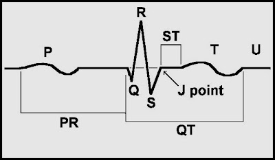icuroom.net January 2010 Archive
