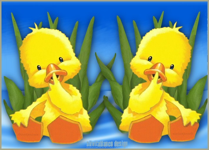 2 patitos - Imagui