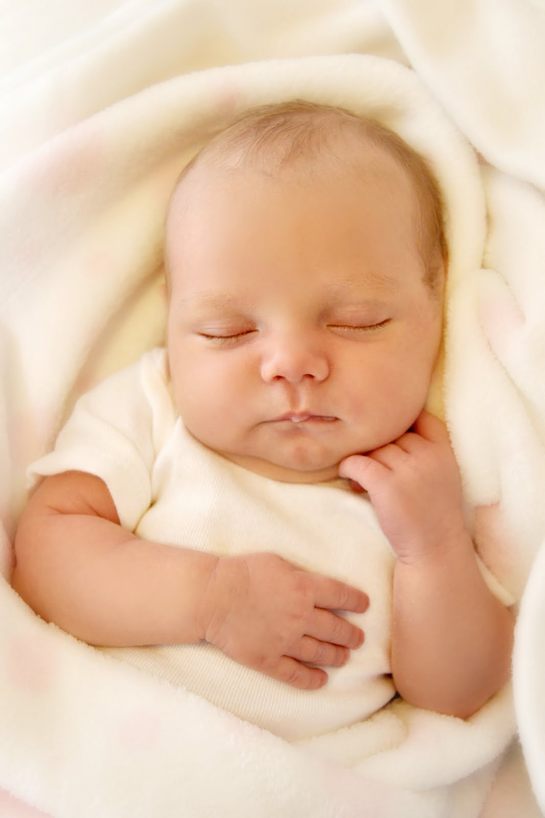 Brenda Schaefer Photography: Cadence 3 Weeks