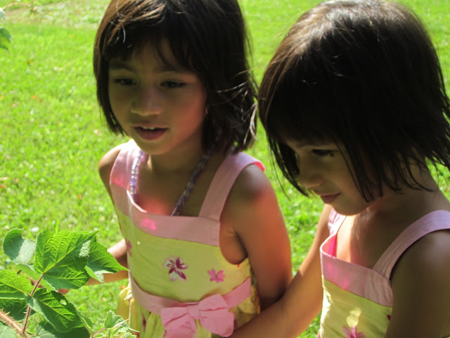 Anakai & Kacia: Gallery