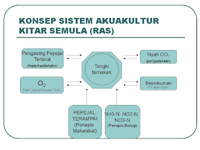 CENT RAS: RAS = Recirculating Aquaculture System