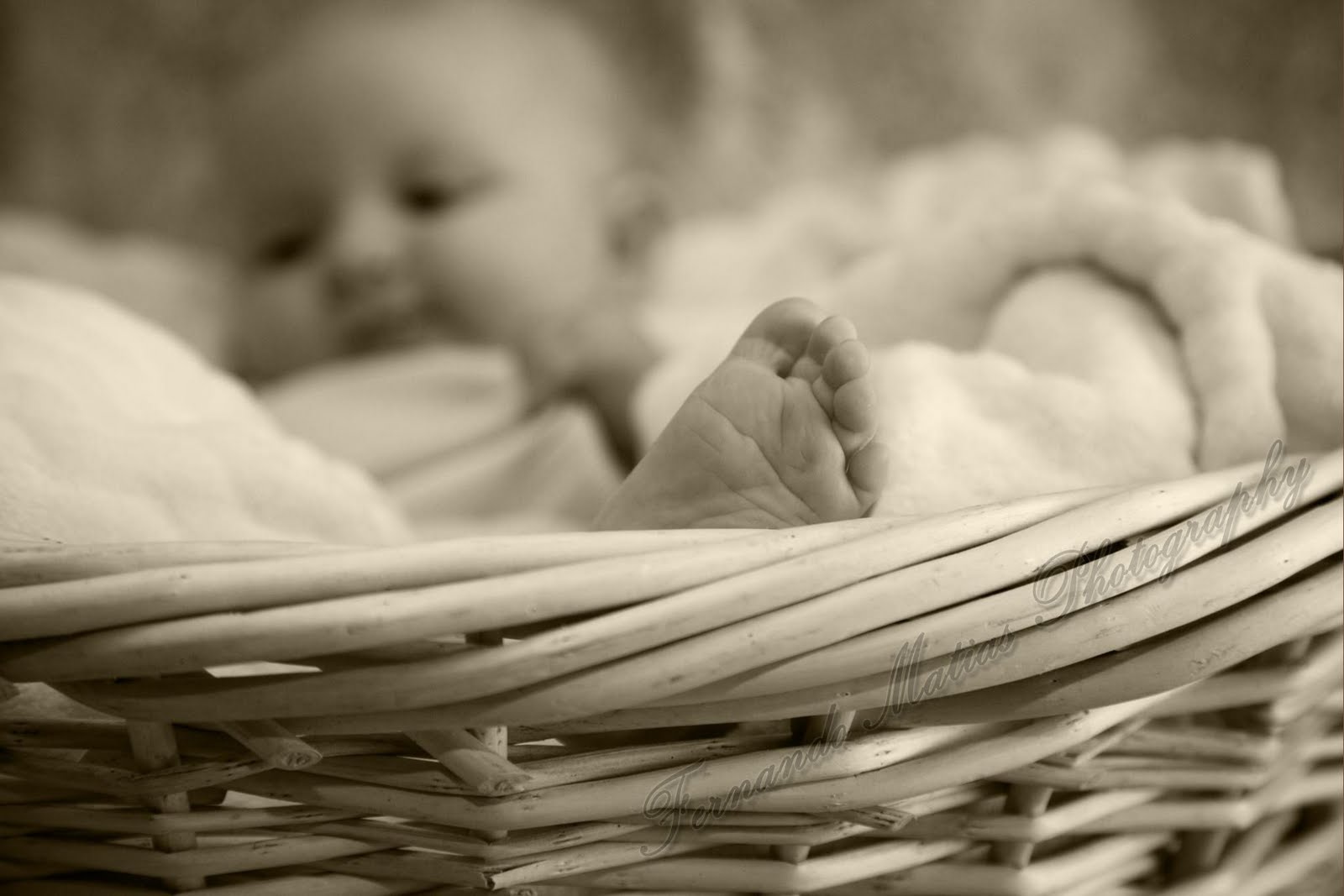 Fernando Matias Photography - Ottawa Ontario - Ottawa Wedding ...