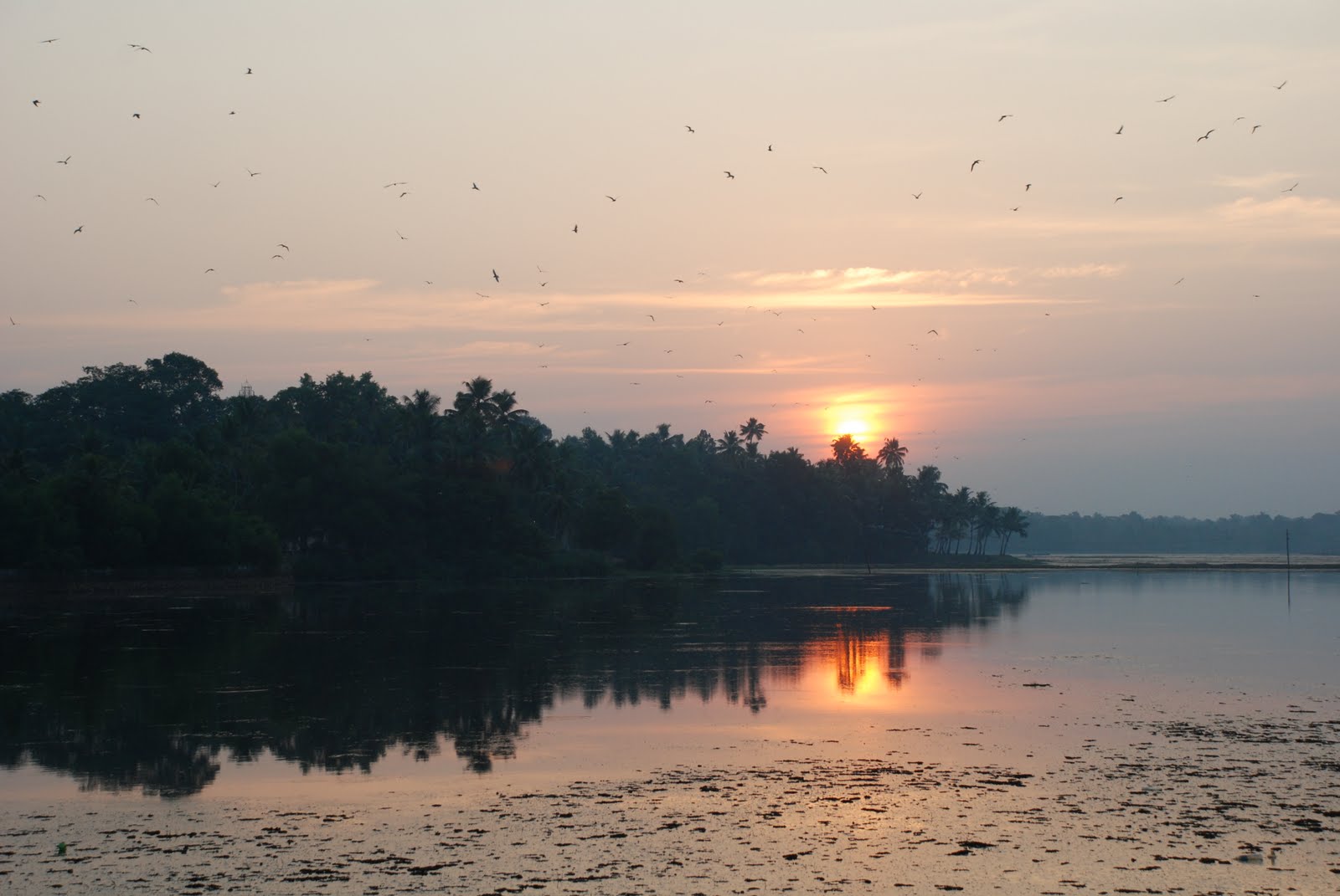 pavumba പാവുമ്പ: Pavumba Image Gallery