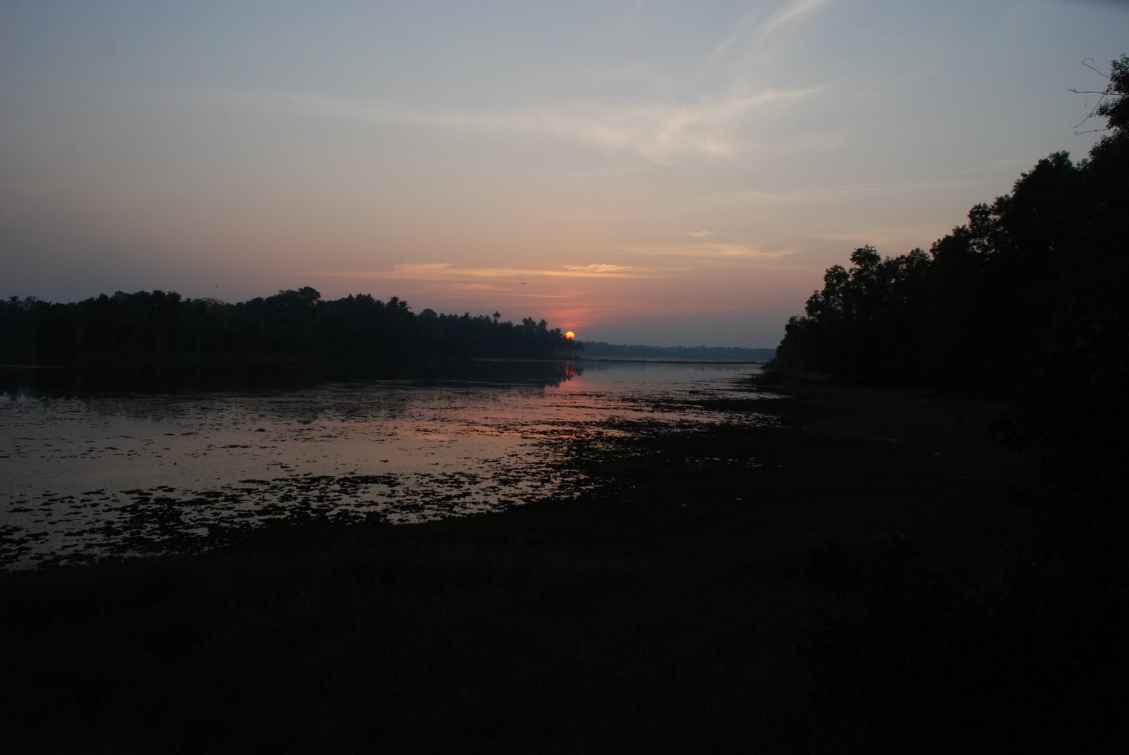 pavumba പാവുമ്പ: Pavumba Image Gallery