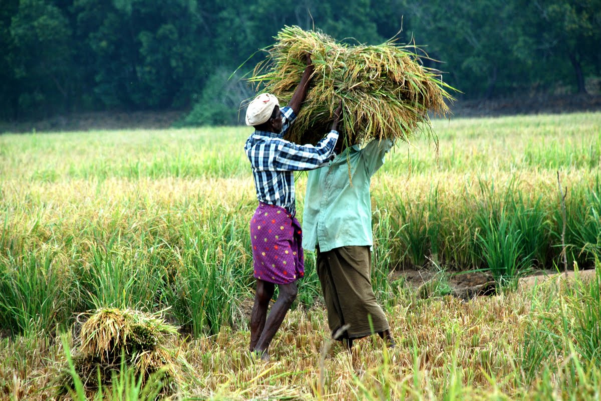 pavumba പാവുമ്പ: Pavumba Image Gallery