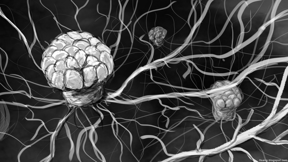 Leo Tsang - CG Arts & Animation: Mycelium Concept #02