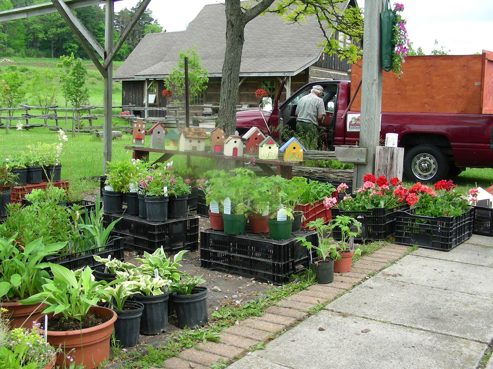 Countryside Farmers' Market