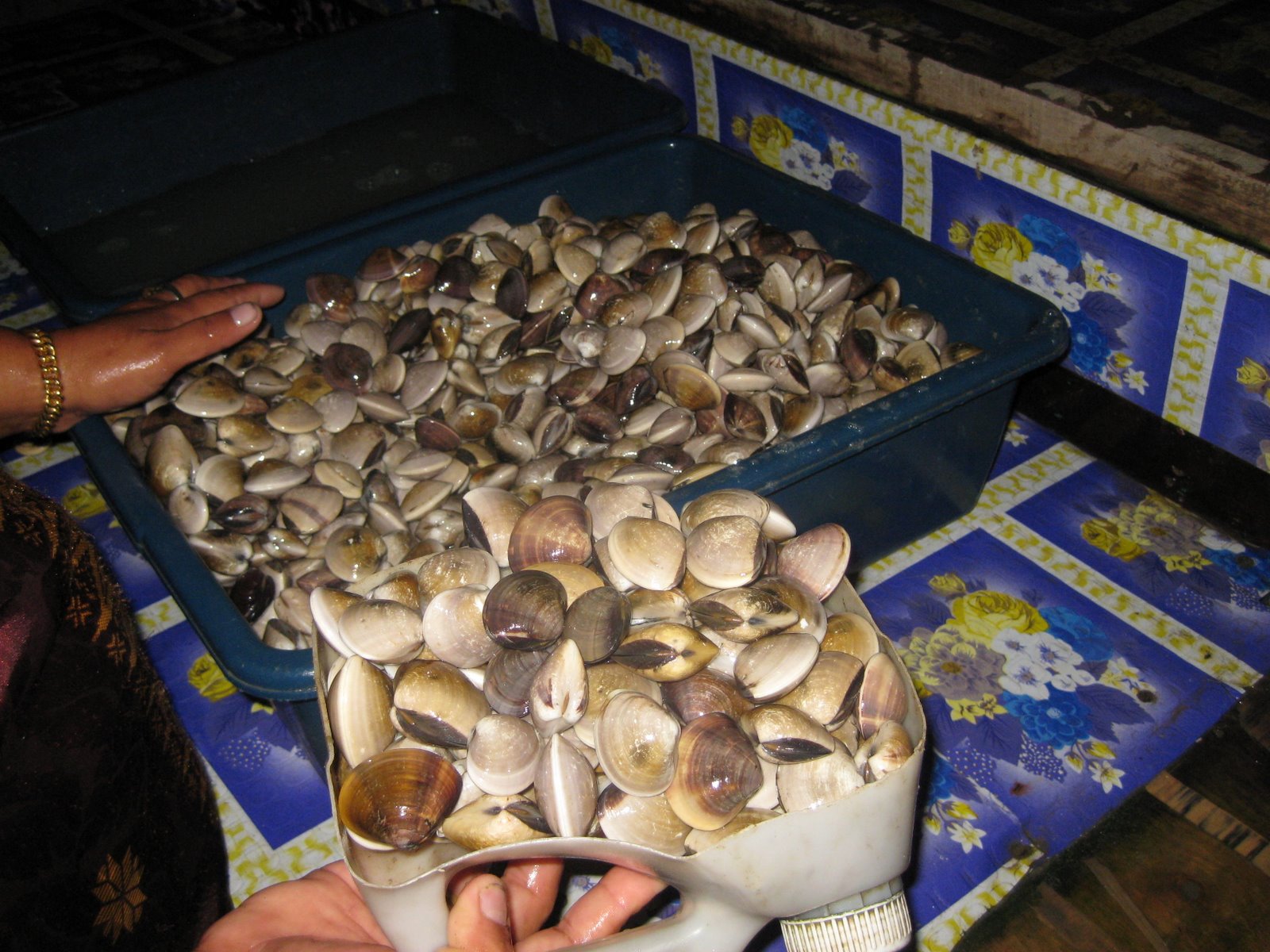 RESEPI NENNIE KHUZAIFAH: Kepah masak lemak cili