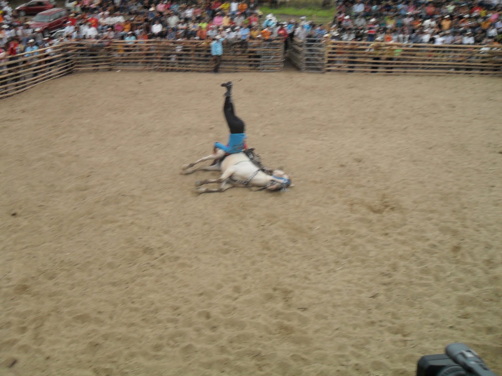 MANABI ....ECUADOR: RODEO MONTUBIO EN OLMEDO