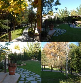 ¡Estáis invitados!: Restaurante