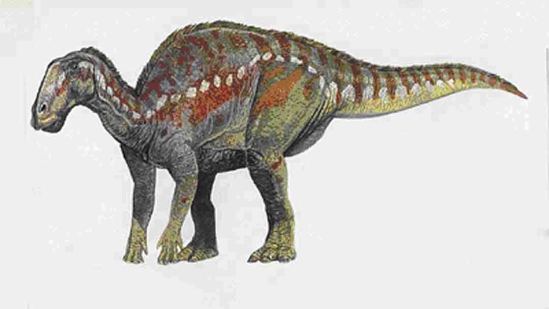 Grandes Sauri: El Blog: Protohadros