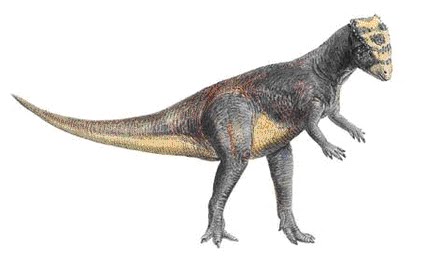 Grandes Sauri: El Blog: Homalocephale