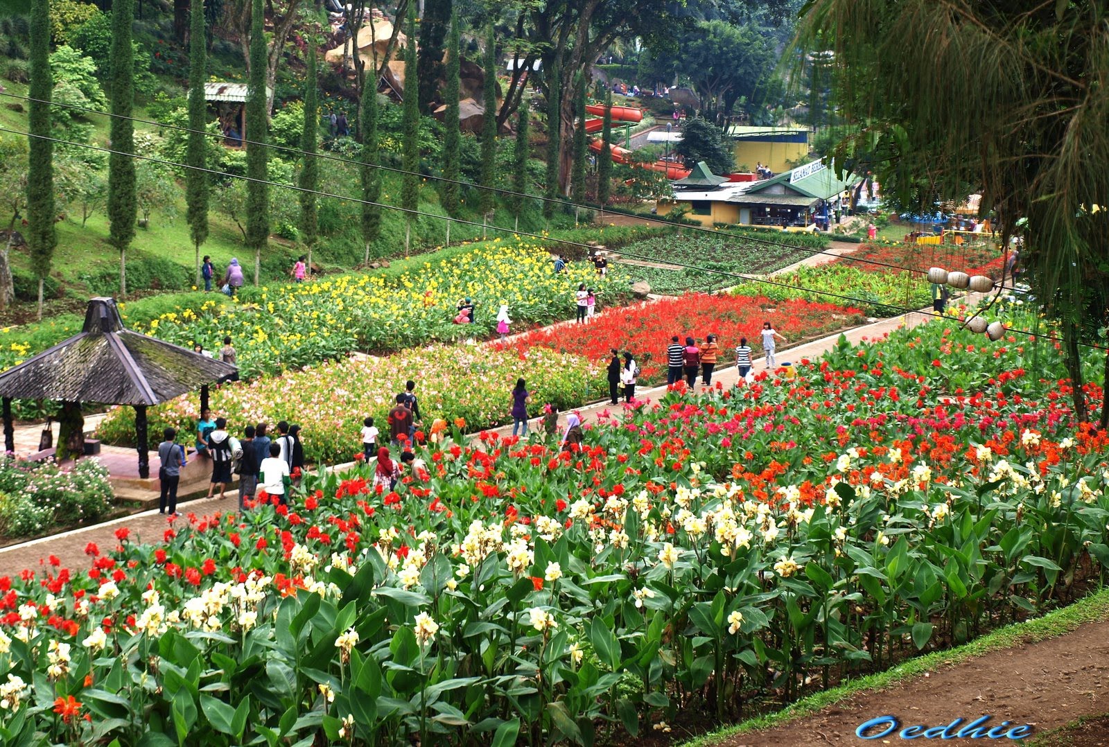 Rekreasi Malang Raya: Taman Rekreasi Selecta Batu